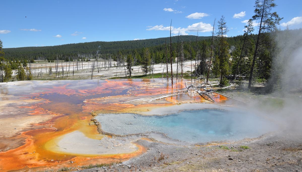 Grundlage für Evolution: RNA-Entstehung in der Ursuppe | VolkswagenStiftung